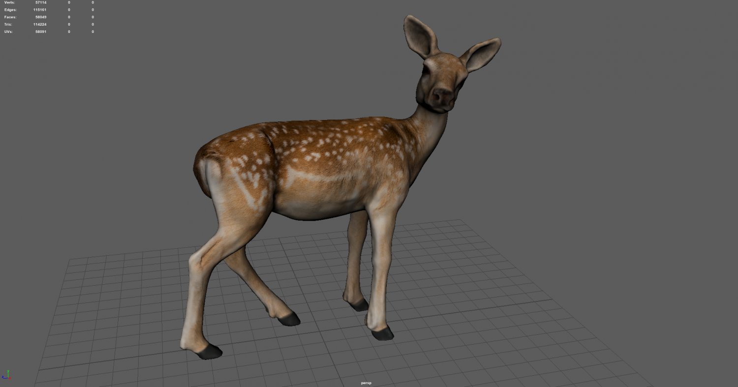 DEER 3D Model in Deer 3DExport