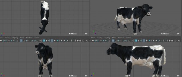 realistic cow 3D Model in Cow 3DExport