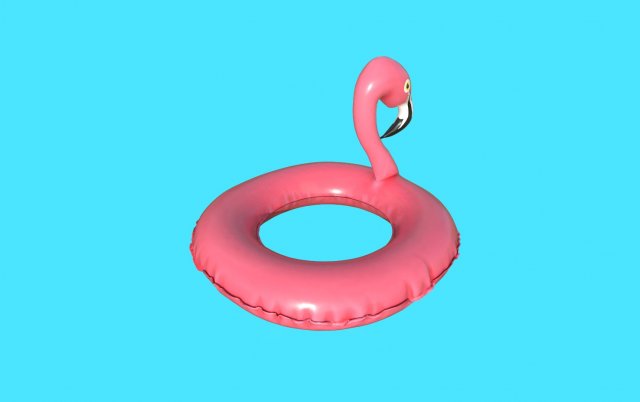 pool floats 3D Model in Dolphin 3DExport