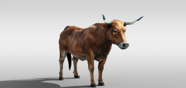 Realistic Cattle Steer Cow Bull Rigged Animation 3D Model in Bull 3DExport