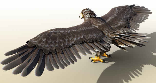Golden Eagle Realistic Rigged 3D Model in Bird 3DExport