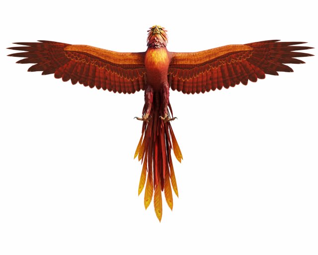 Phoenix Bird Rigged 3D Model in Bird 3DExport
