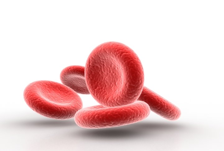 blood cell 3D Models in Medicines 3DExport