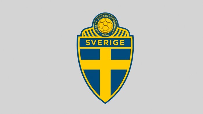 sweden football federation 3D Models in Sports Equipment 3DExport
