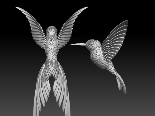 colibri humming bird Modelo de impresión 3D in Escultura 3DExport