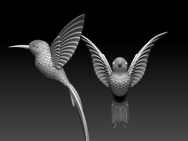 colibri humming bird Modelo de impresión 3D in Escultura 3DExport