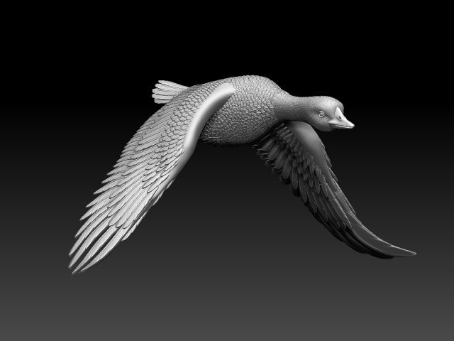 goose 3D Print Model in Animals 3DExport