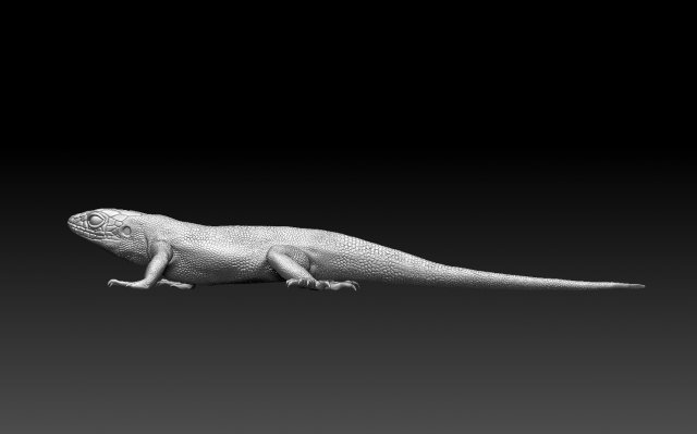 Lizard 3D Print Model in Sculpture 3DExport
