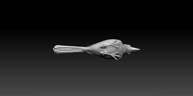 Wagtail 3D Print Model in Sculpture 3DExport