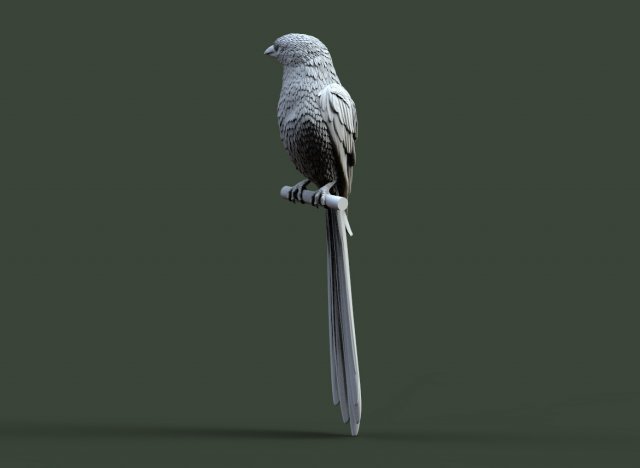 Bird 3D Print Model in Sculpture 3DExport