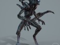 alien xenomorph vr - ar - low-poly 3D Models in Alien 3DExport