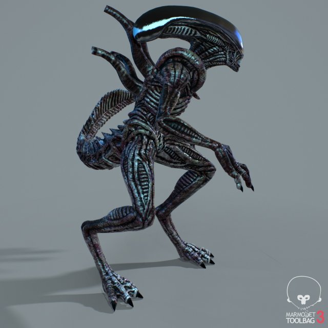 alien xenomorph vr - ar - low-poly 3D Model in Alien 3DExport