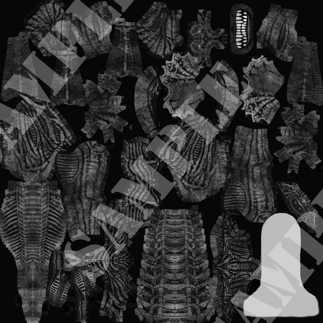 alien xenomorph vr - ar - low-poly 3D-Modell in Alien 3DExport