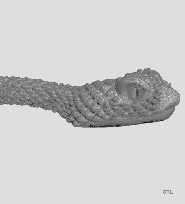 snake 3D Model in Reptile 3DExport