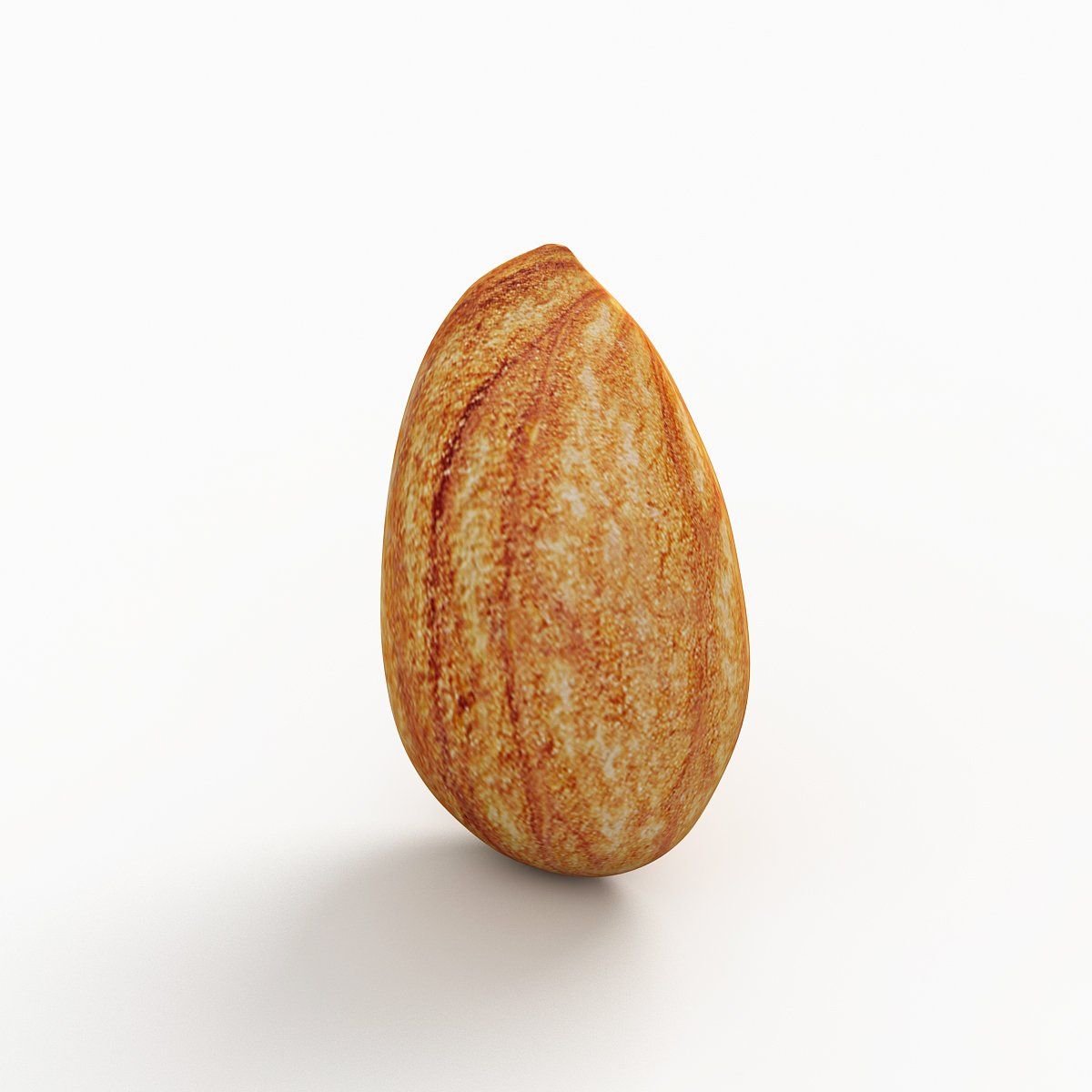 Almond 3D Model in Fruit 3DExport