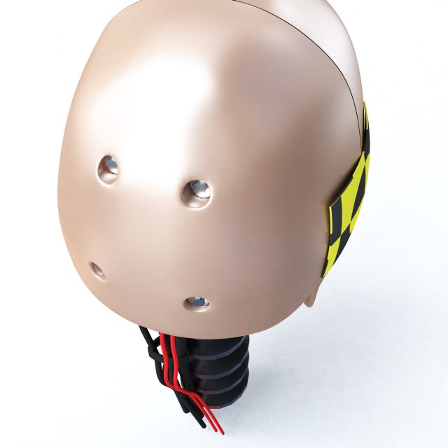 male crash test dummy head 3D Model in Other 3DExport