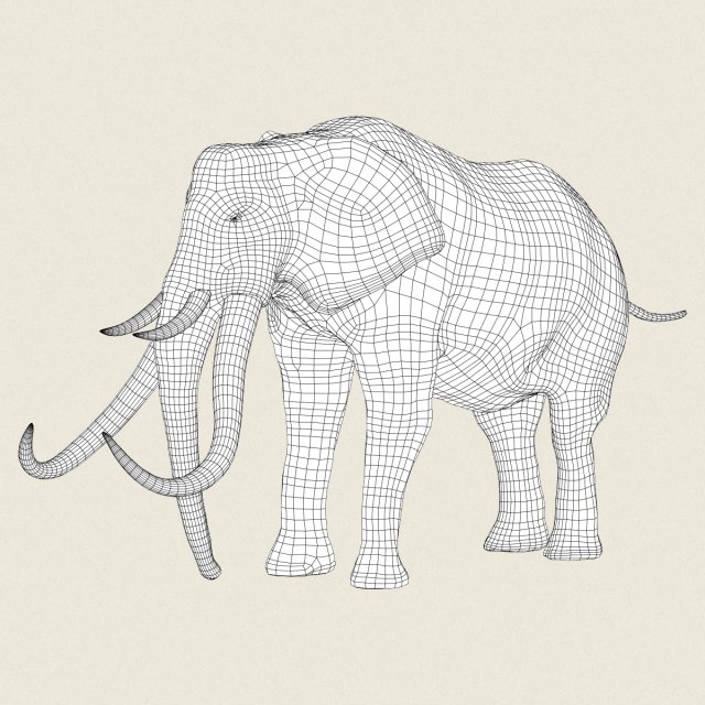 low poly realistic elephant 3D Model in Elephant 3DExport