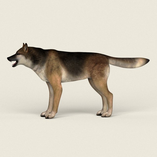 low poly realistic wolf 3D Model in Wildlife 3DExport