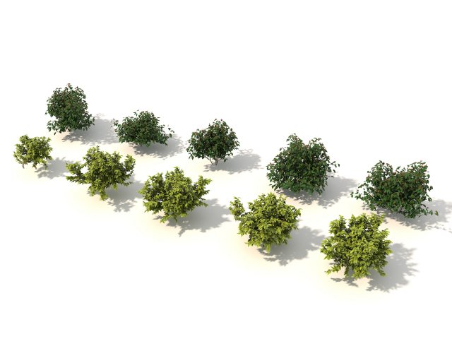 realistic garden shrub 3 3D Model in Bush 3DExport