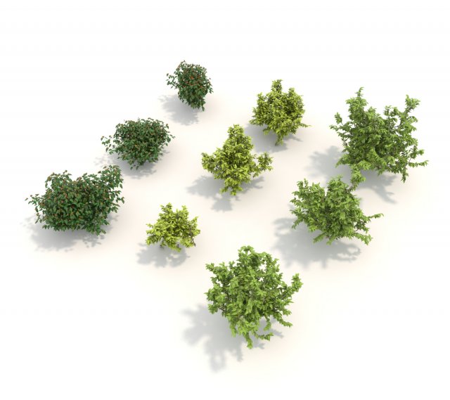realistic garden shrub 3 3D Model in Bush 3DExport