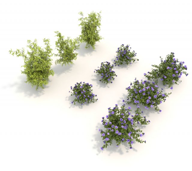 realistic garden shrub 3 3D Model in Bush 3DExport