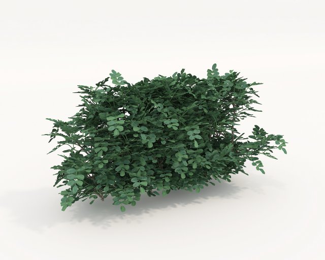Realistic Shrub Bush Set 4 3D Model in Landscapes 3DExport