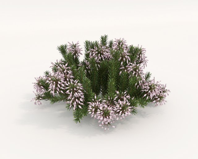 Realistic Shrub Bush Set 4 3D Model in Landscapes 3DExport