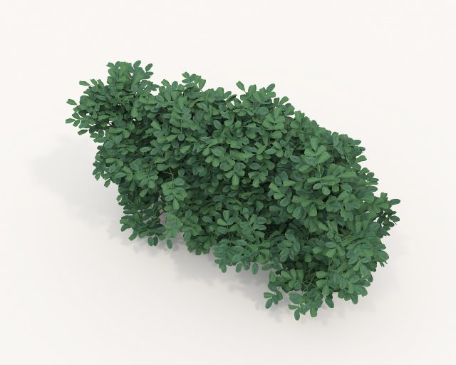 Realistic Shrub Bush Set 4 3D Model in Landscapes 3DExport