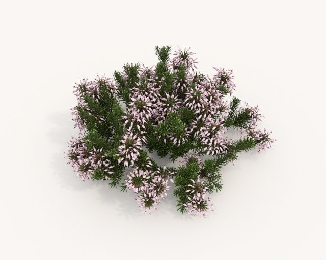 Realistic Shrub Bush Set 4 3D Model in Landscapes 3DExport