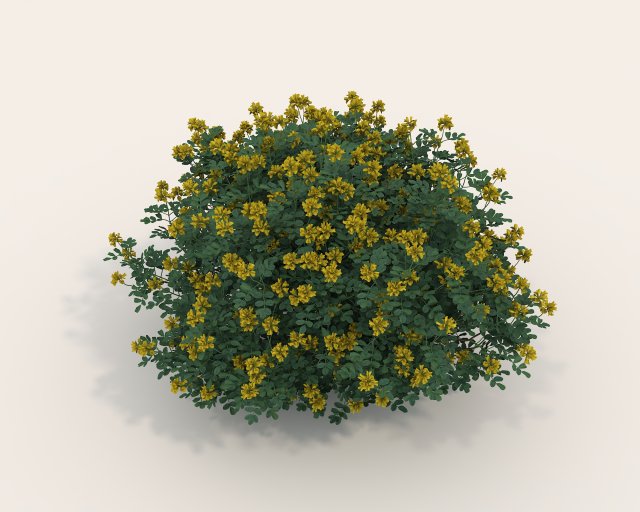 Realistic Shrub Bush Set 4 3D Model in Landscapes 3DExport