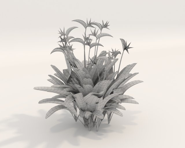 Realistic Shrub Bush Set 4 3D Model in Landscapes 3DExport