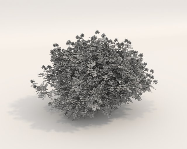 Realistic Shrub Bush Set 4 3D Model in Landscapes 3DExport