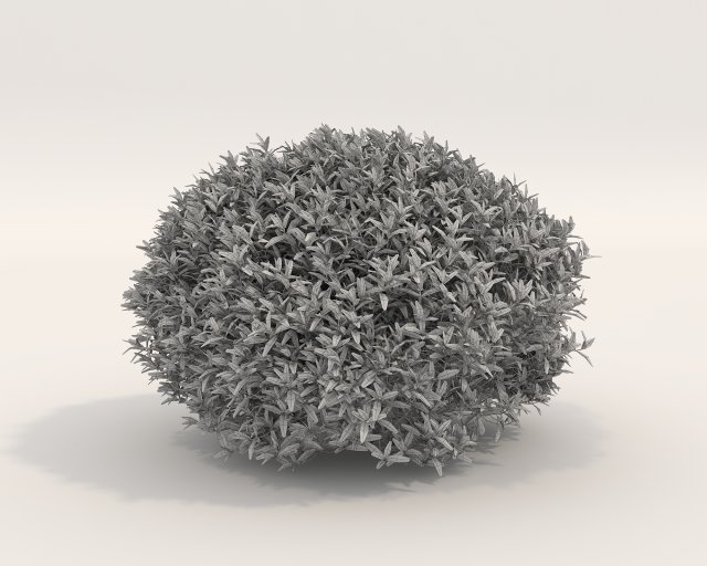 Realistic Shrub Bush Set 5 3D Model in Small Plants 3DExport