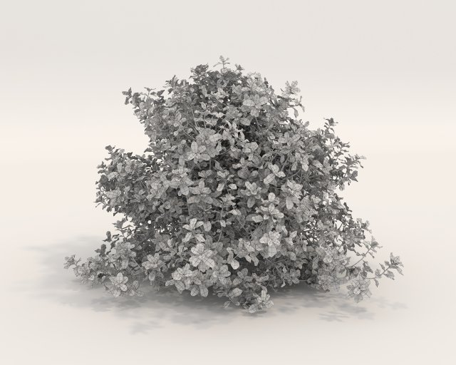 Realistic Shrub Bush Set 5 3D Model in Small Plants 3DExport