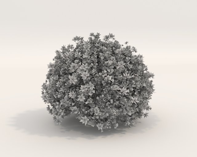 Realistic Shrub Bush Set 5 3D Model in Small Plants 3DExport