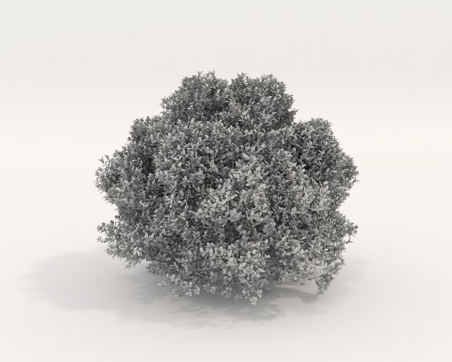Realistic Shrub Bush Set 5 3D Model in Small Plants 3DExport