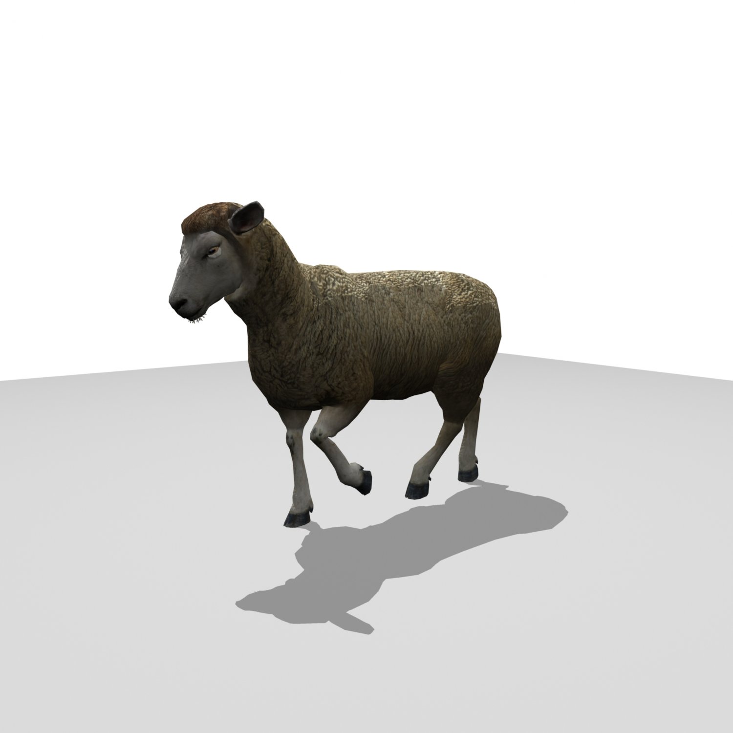 Sheep animated 3D Model in Sheep 3DExport
