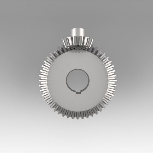 pinion conical 3D Model in Parts 3DExport