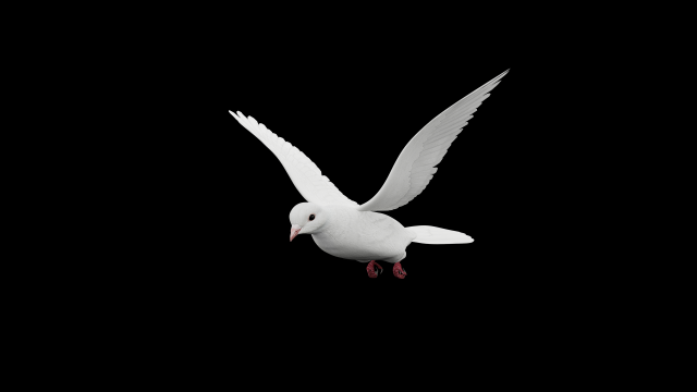 Realistic flying White Dove- LOOP FLIGHT animations Low-poly 3D Model ...