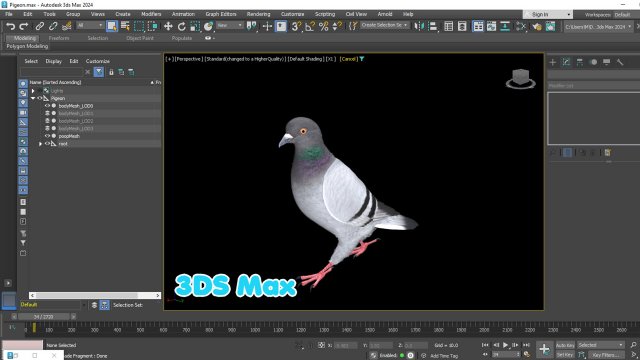 Realistic Animated Rock Pigeon Modelo 3D in Pájaros 3DExport