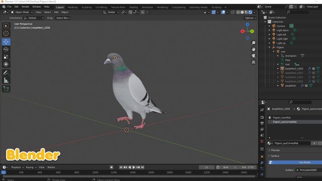 Realistic Animated Rock Pigeon 3D Model in Bird 3DExport