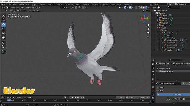 Realistic Animated Rock Pigeon 3D Model in Bird 3DExport