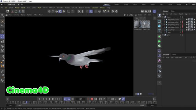 Realistic Animated Rock Pigeon 3D Model in Bird 3DExport