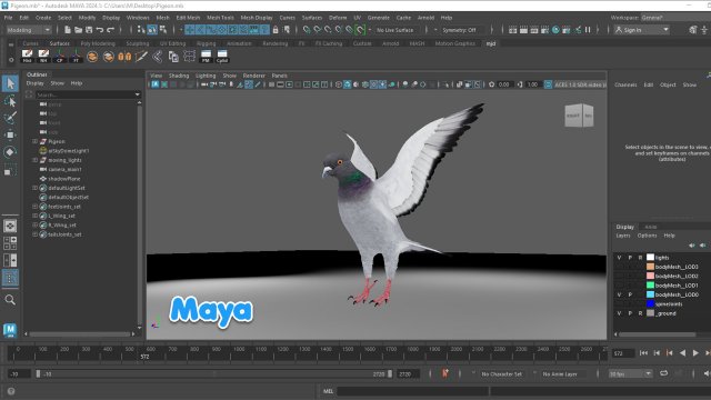Realistic Animated Rock Pigeon 3D Model in Bird 3DExport