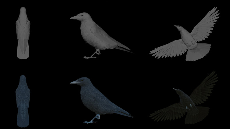 Realistic Animated Carrion Crow 3D Model in Bird 3DExport