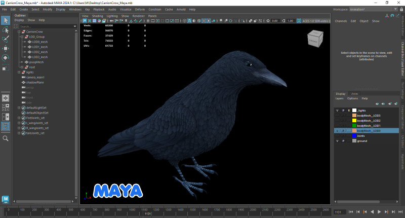 Realistic Animated Carrion Crow 3D Model in Bird 3DExport