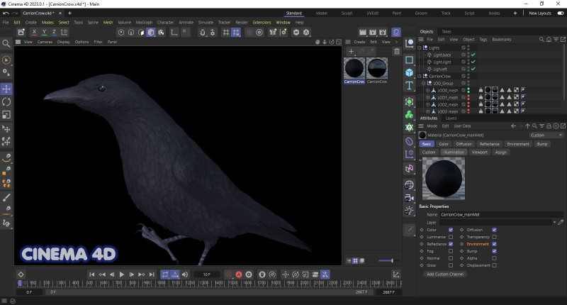 Realistic Animated Carrion Crow 3D Model in Bird 3DExport
