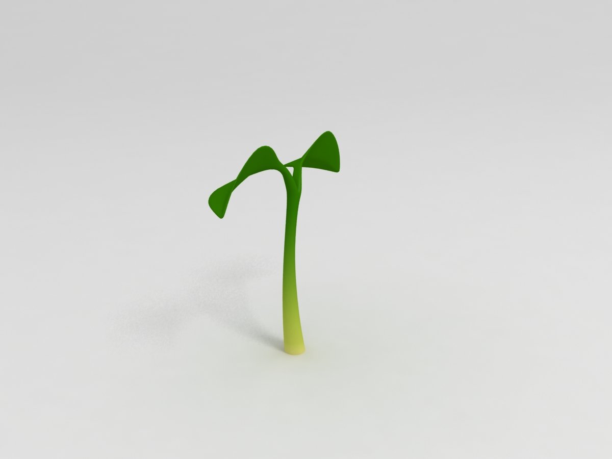 plant sprout 3D Models in Small Plants 3DExport