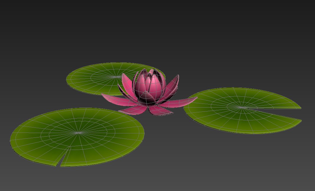Lotus 3D Model in Flowers 3DExport