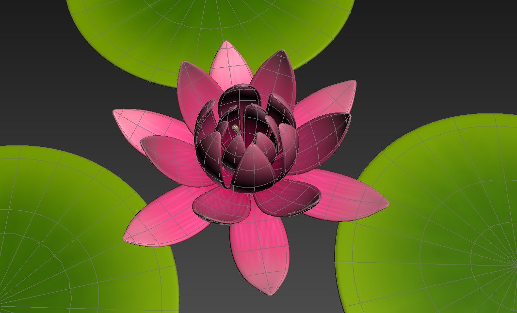 Lotus 3D Model in Flowers 3DExport